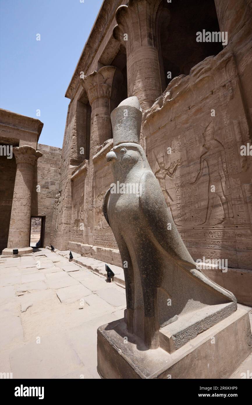 Horus statue, Edfu, Idfu, Horus temple, Horus falcon, Egypt Stock Photo ...