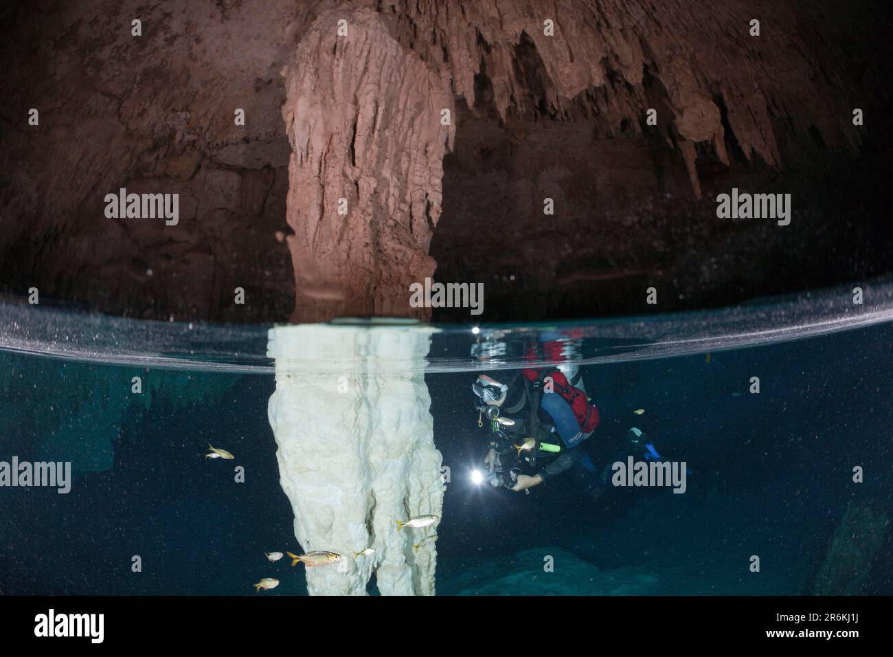 Diver in underwater cave, Cenote Bat Cave, Yucatan Peninsula ...