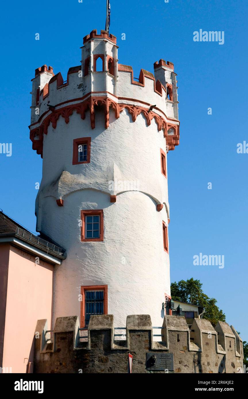 Adlerturm, UNESCO World Heritage Upper Middle Rhine Valley, Ruedesheim ...