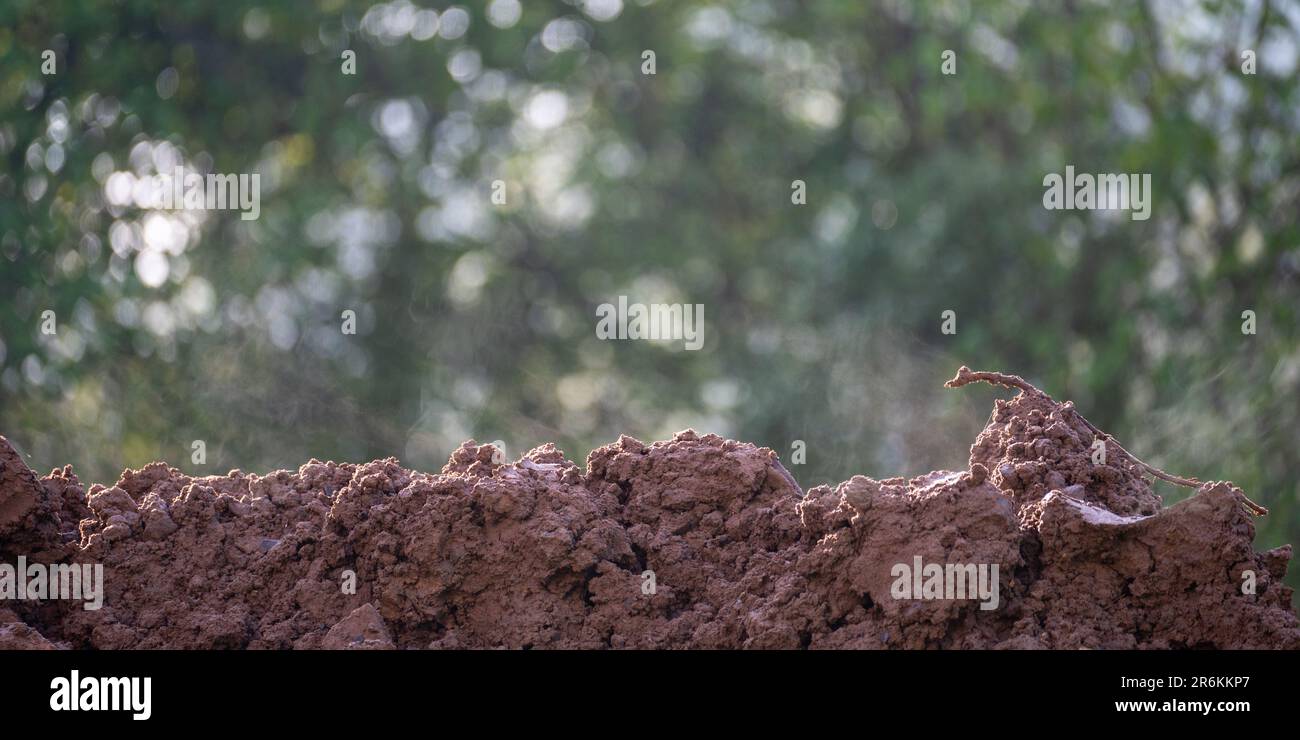 Fresh steaming earth soil in green nature Stock Photo - Alamy
