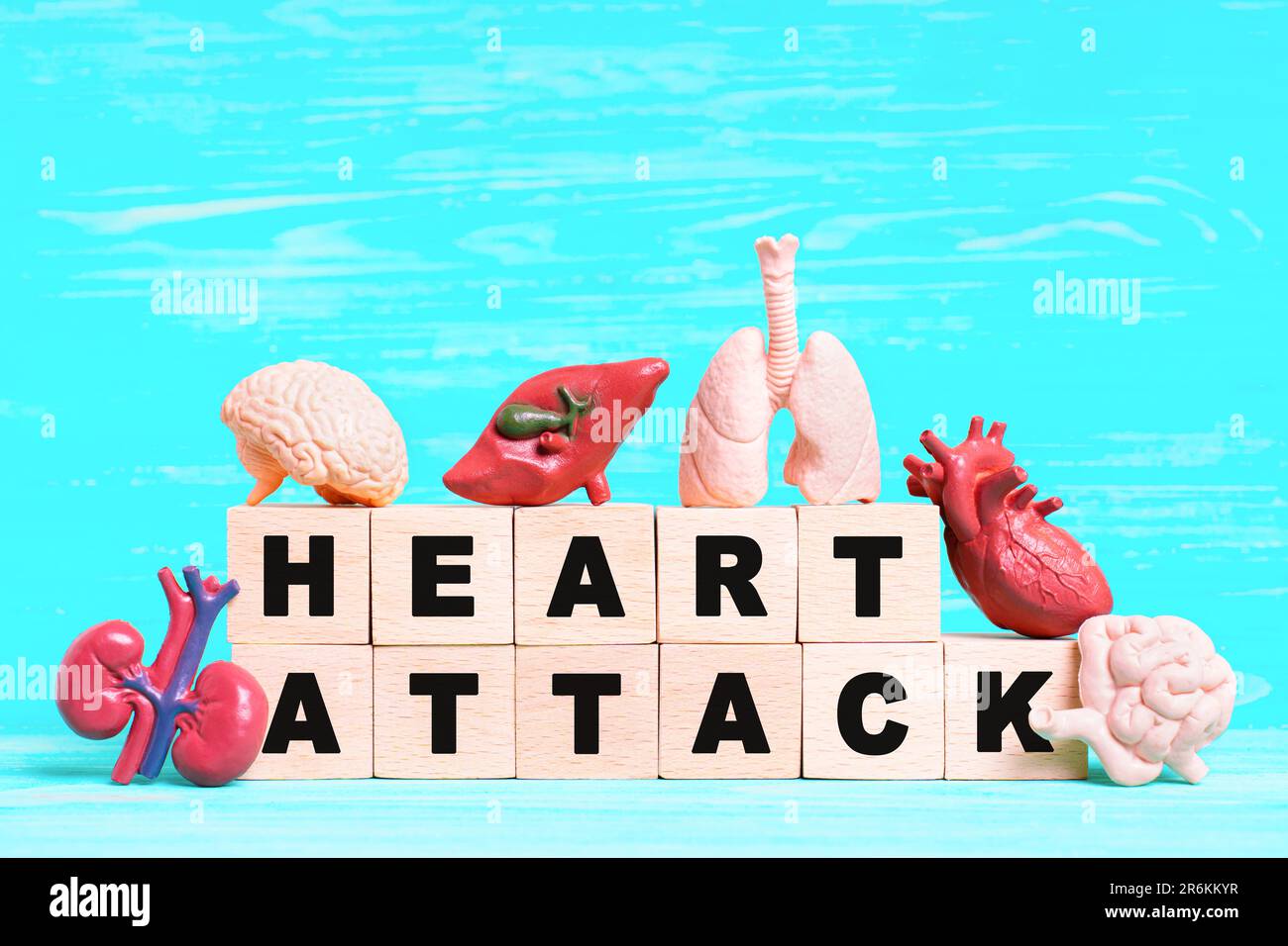 Kidney disease blocks hi-res stock photography and images - Alamy