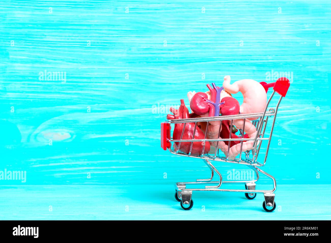 Miniature supermarket cart full of anatomical replicas of internal ...