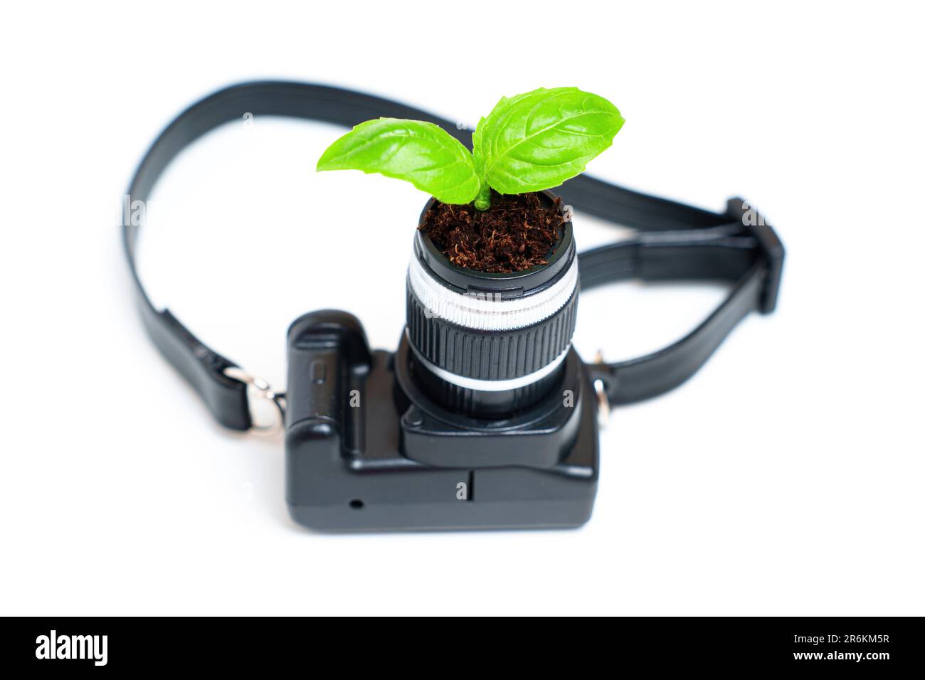 Interpretation of photography Cut Out Stock Images & Pictures - Alamy