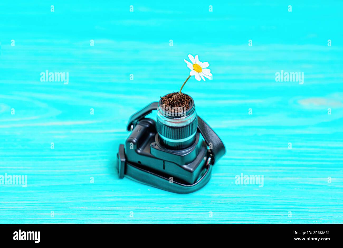 Tiny daisy growing from a miniature camera lens isolated on a blue ...
