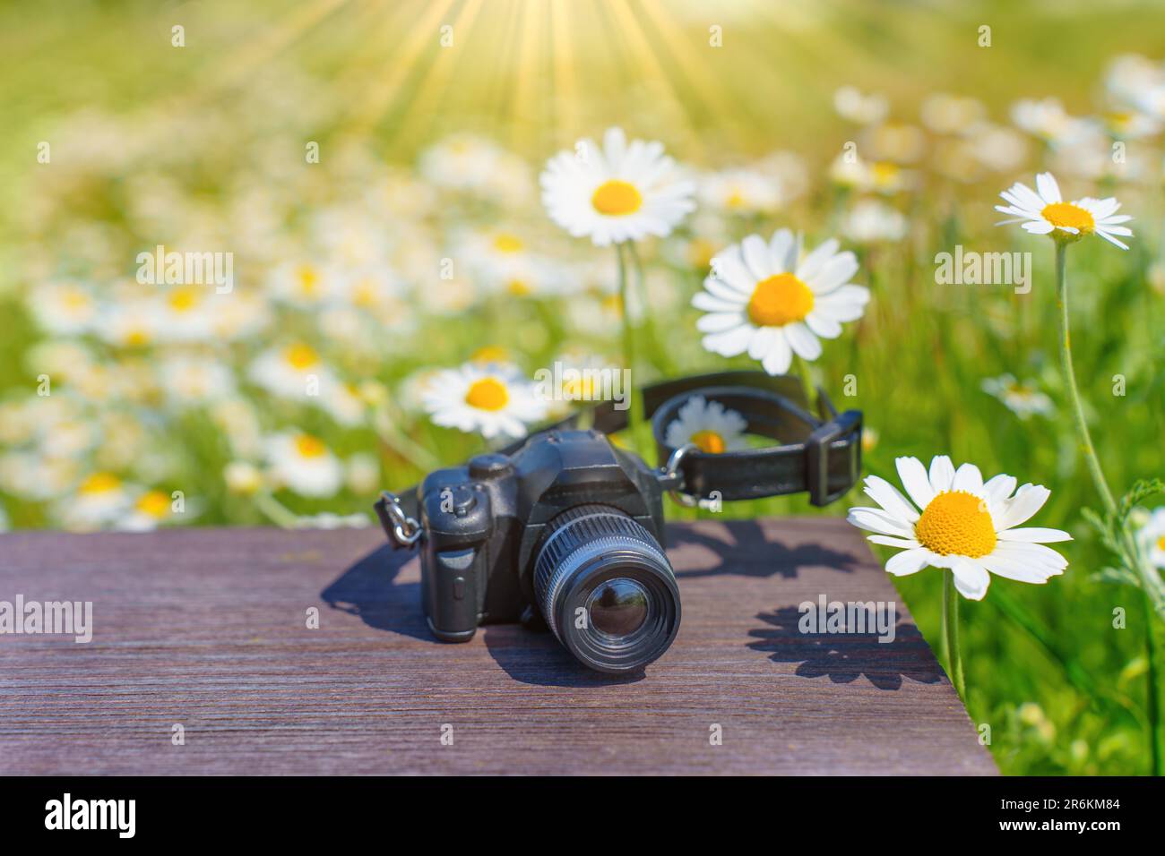 Sunlit toy camera model set of a wooden table against a blooming ...