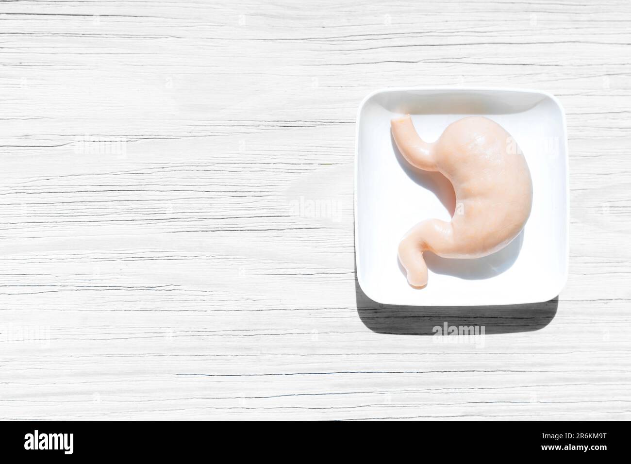 Miniature replica of the human stomach placed on a white tray, set on a ...