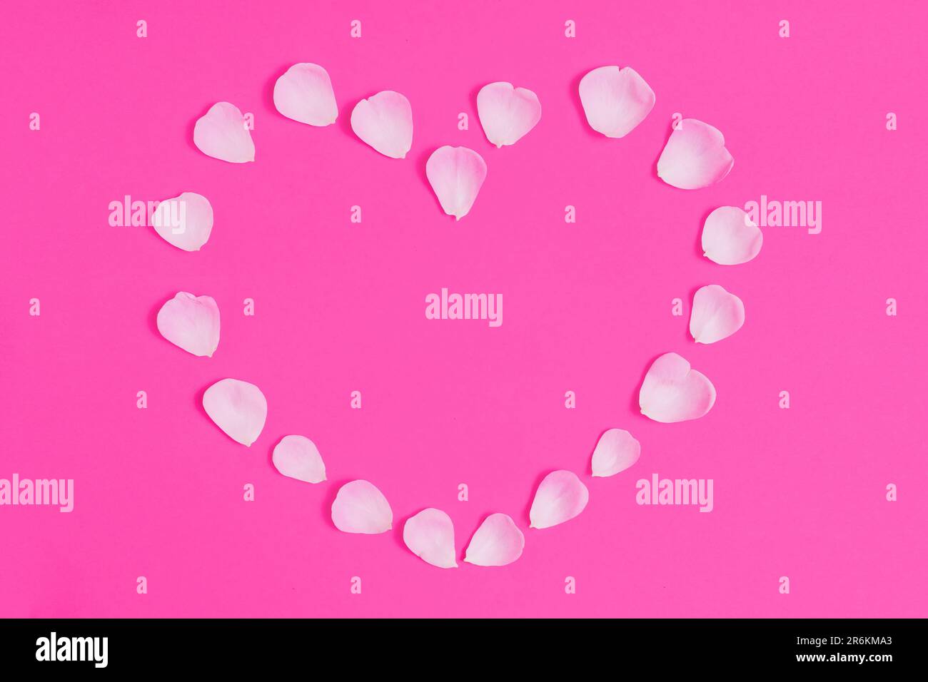 Delicate heart-shaped framing made from rose petals on a soft pink ...