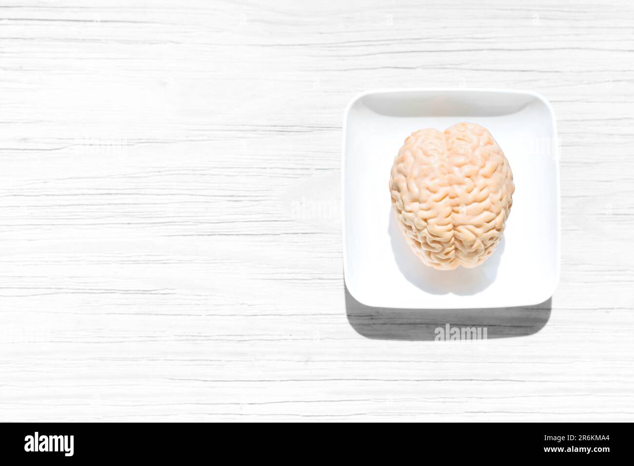 Miniature replica of the human brain placed on a white tray, set on ...