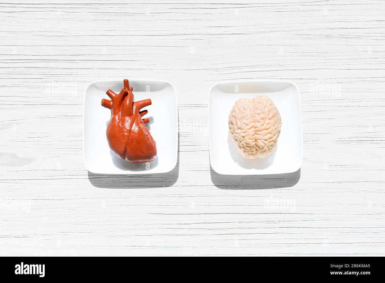 Miniature replicas of human heart and brain placed on white trays, set ...