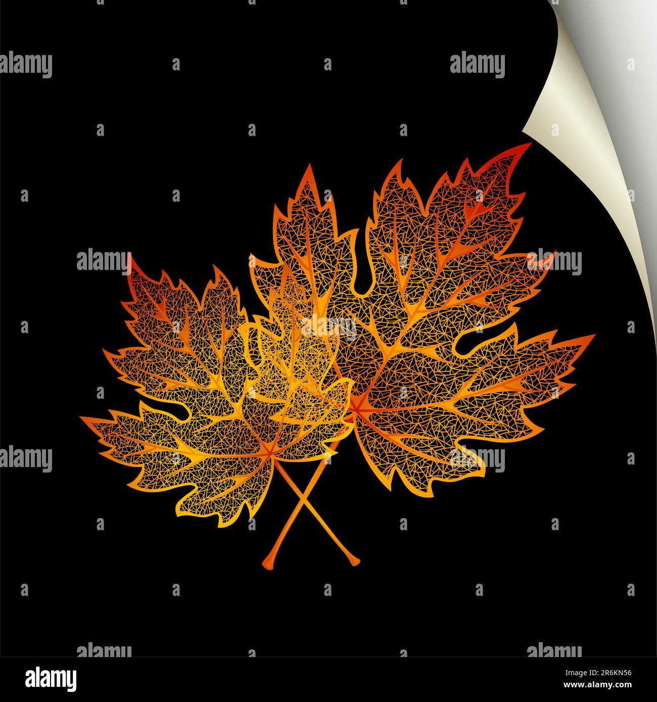 Black maples Stock Vector Images - Alamy