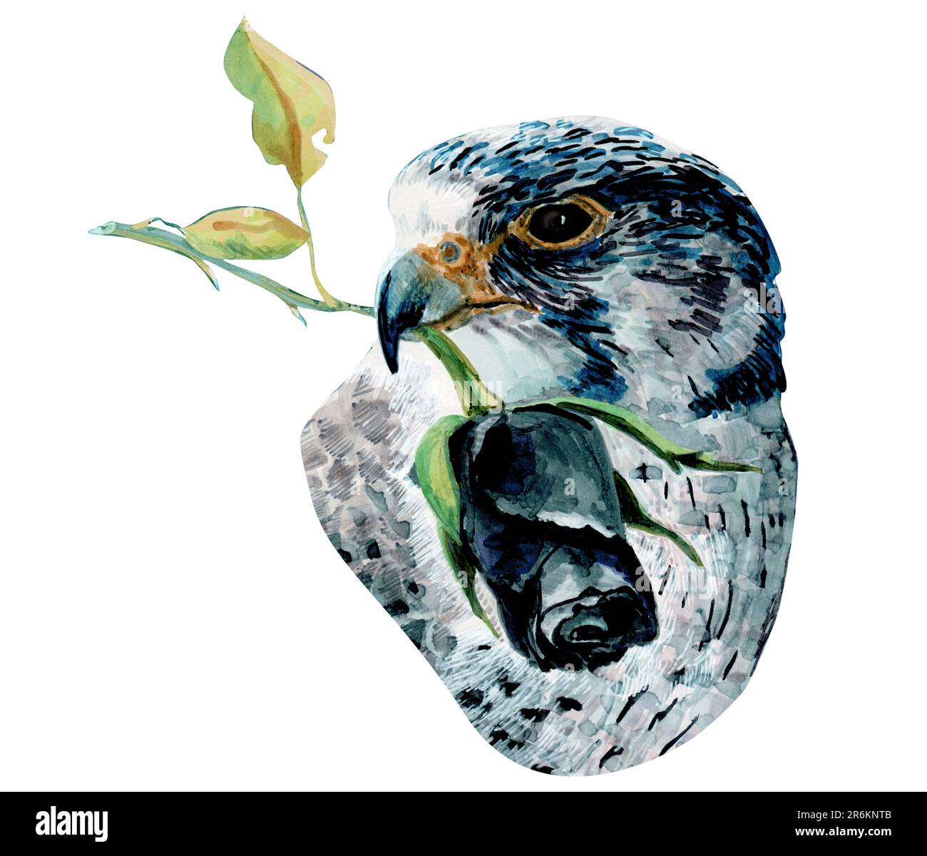 A falcon with a black rose in its beak is a symbol of nobility and ...