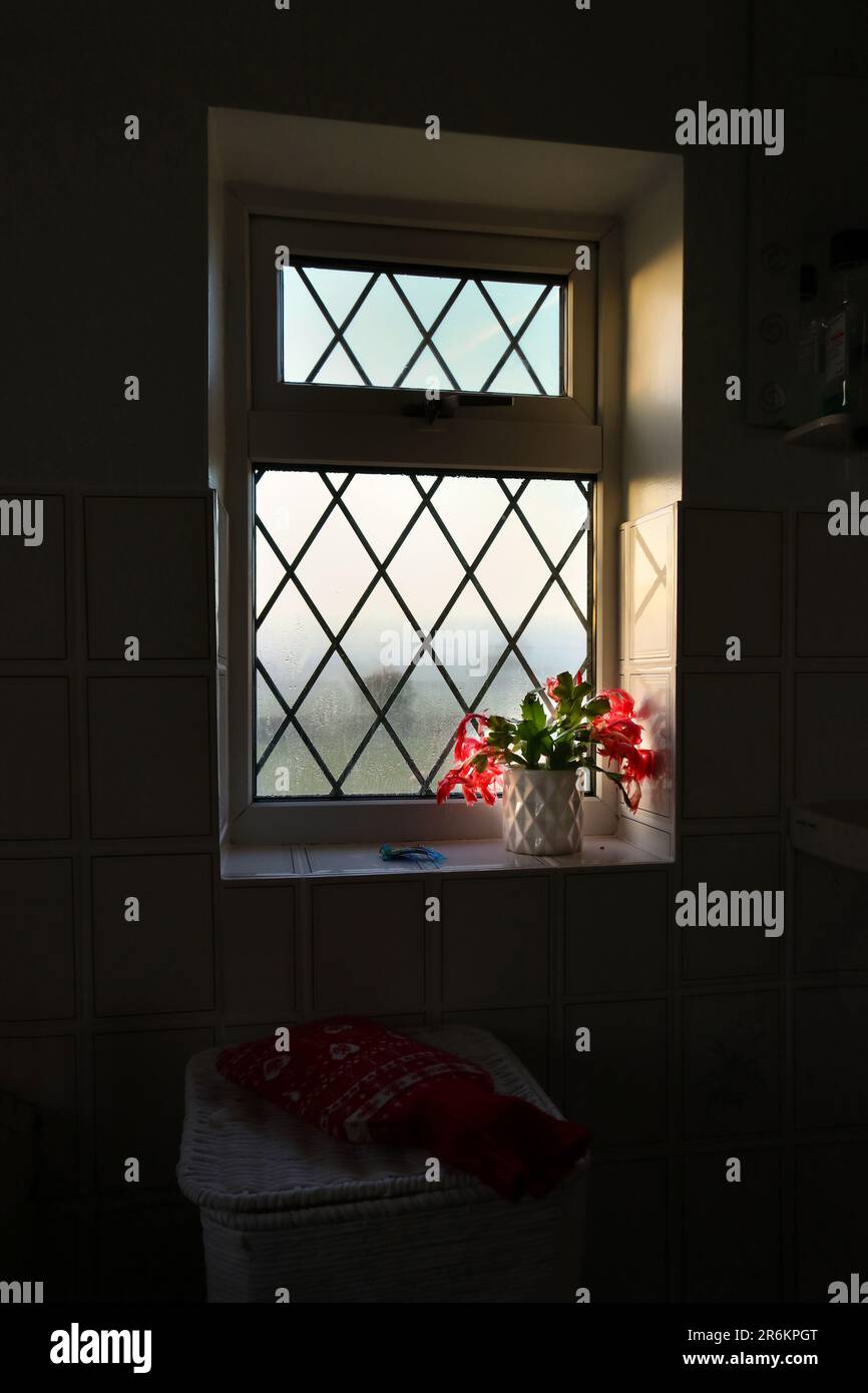 Winter sunshine. Cold and dark, at the start of a winter's day sunshine. Condensation on the ...