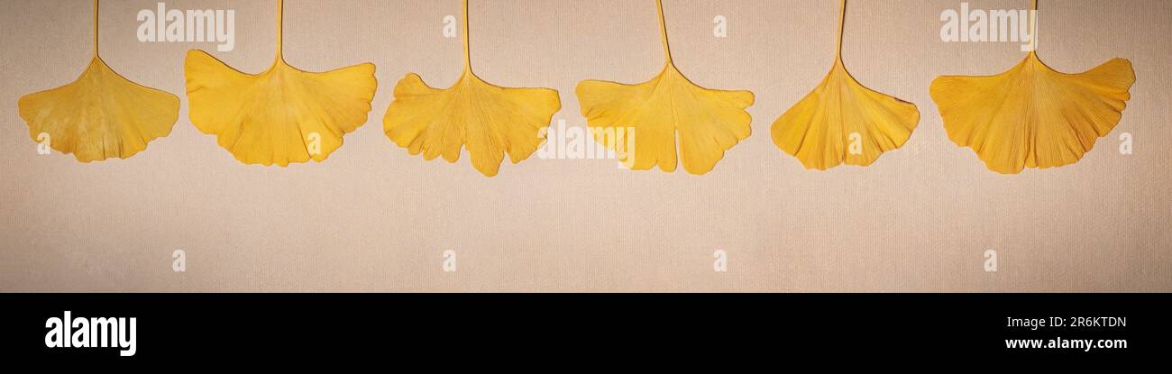 Universal Linkedin banner for people of creative professions with ...