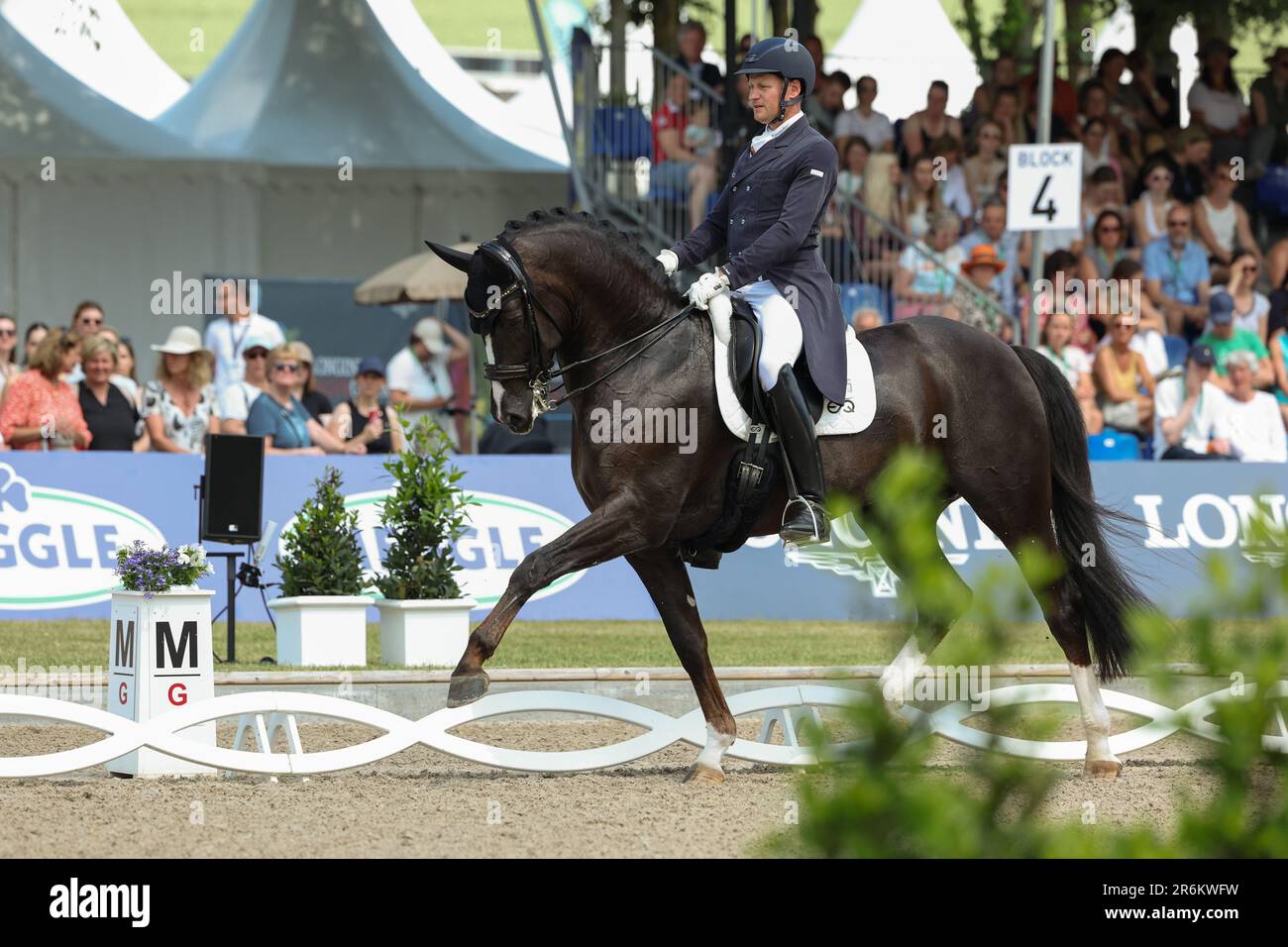 Balve, Germany. 10th June, 2023. Equestrian sport: German championship ...