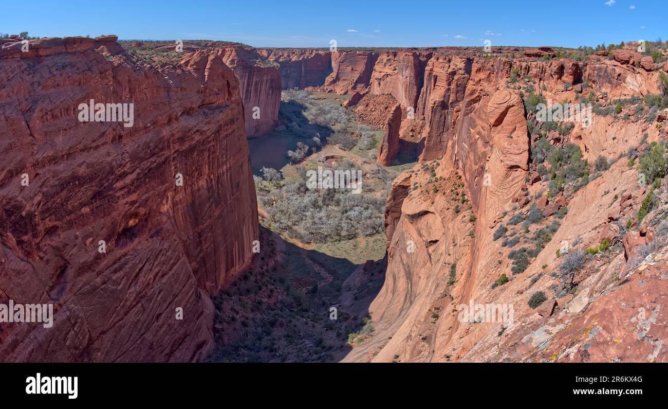 Spring Canyon in Canyon De Chelly National Monument viewed from the ...