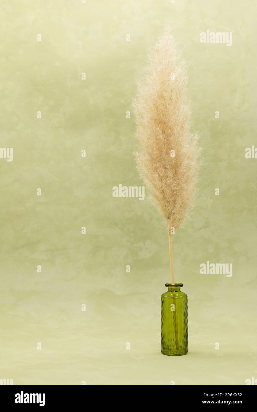 Boho style dried flower hi-res stock photography and images - Alamy