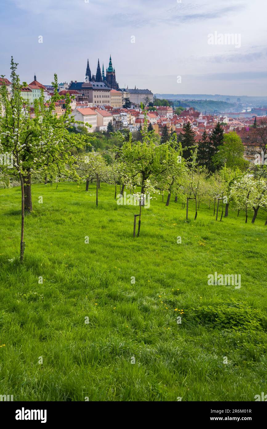 Patrin gardens hi-res stock photography and images - Alamy