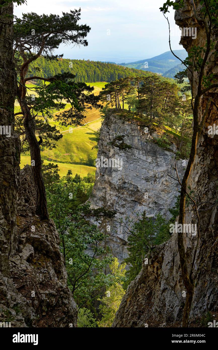 The well-known rocks, called Ankenballen in the Basel area near Bölchen ...