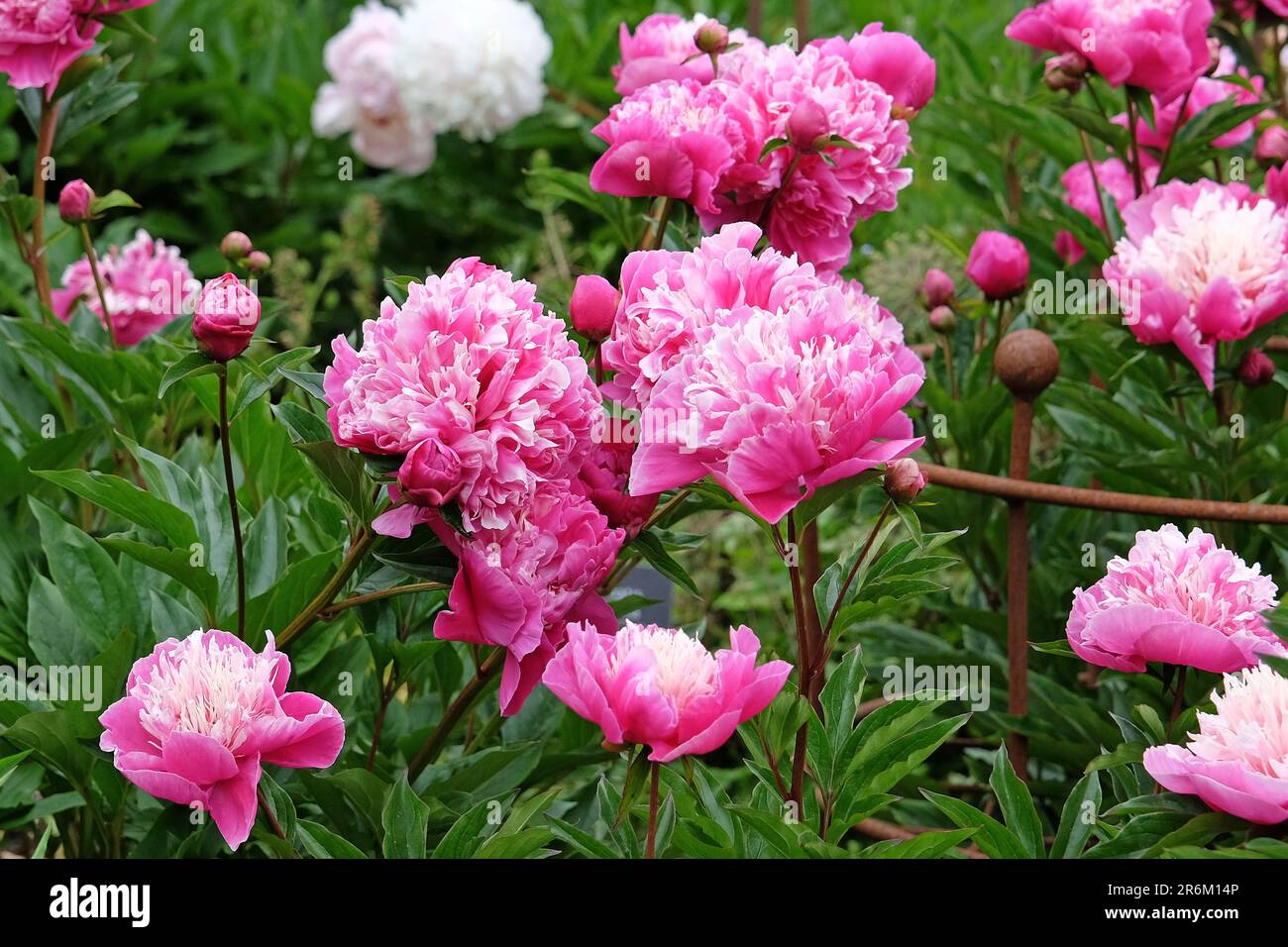 Magic orb hi-res stock photography and images - Alamy