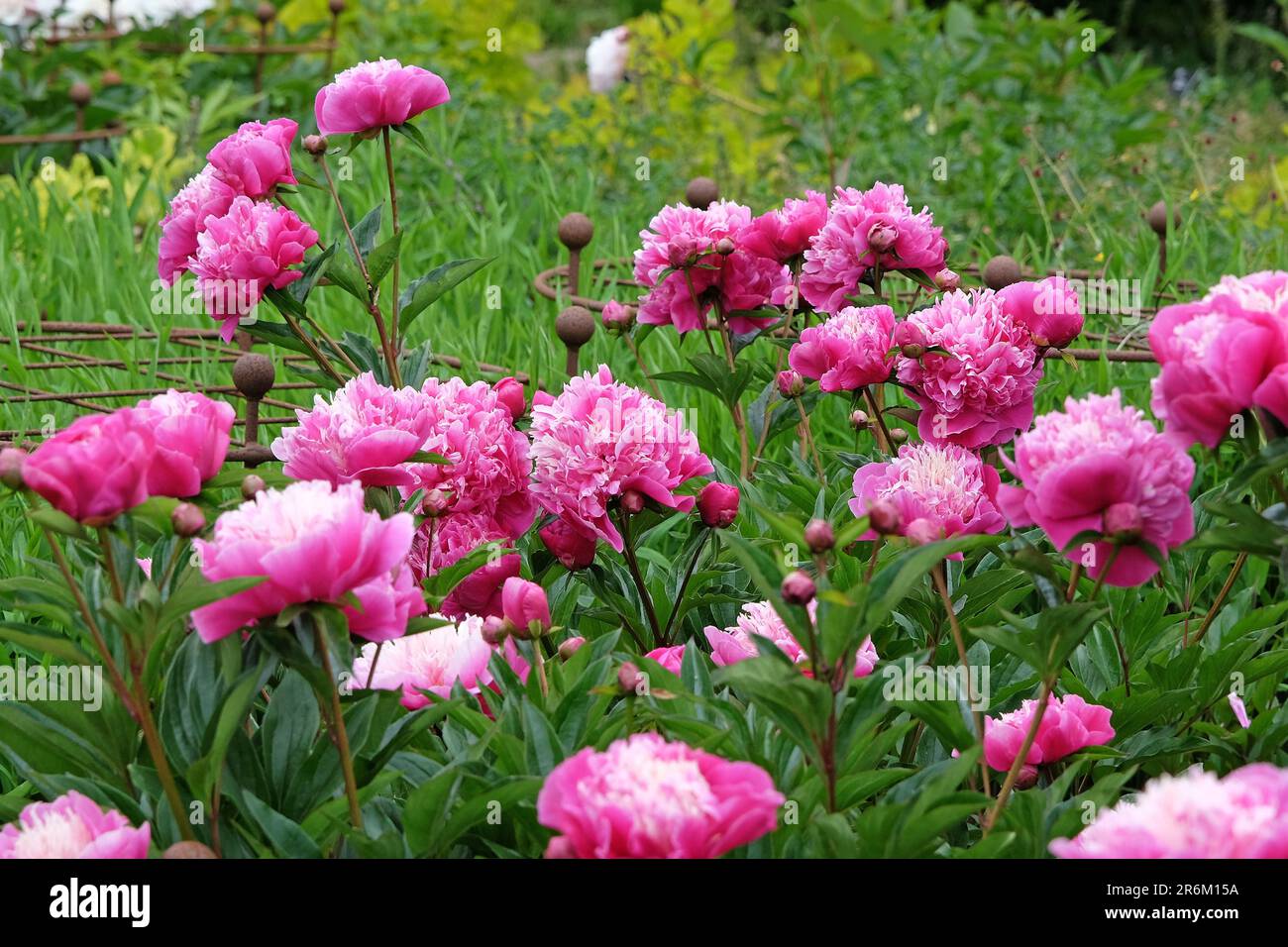 Magic orb hi-res stock photography and images - Alamy