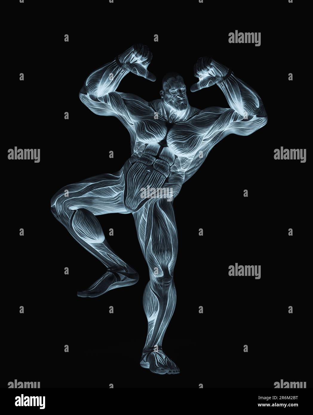 bodybuilder muscle maps is dancing in white background, 3d illustration ...