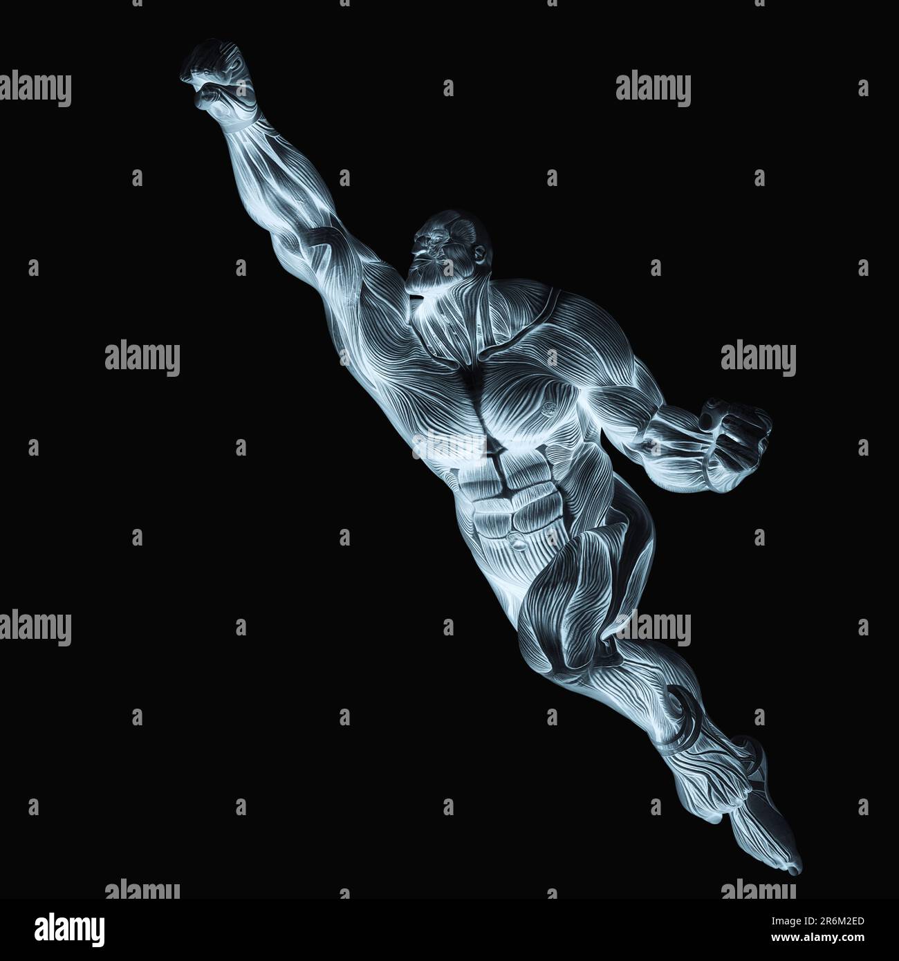 bodybuilder muscle maps is flying up in white background, 3d ...