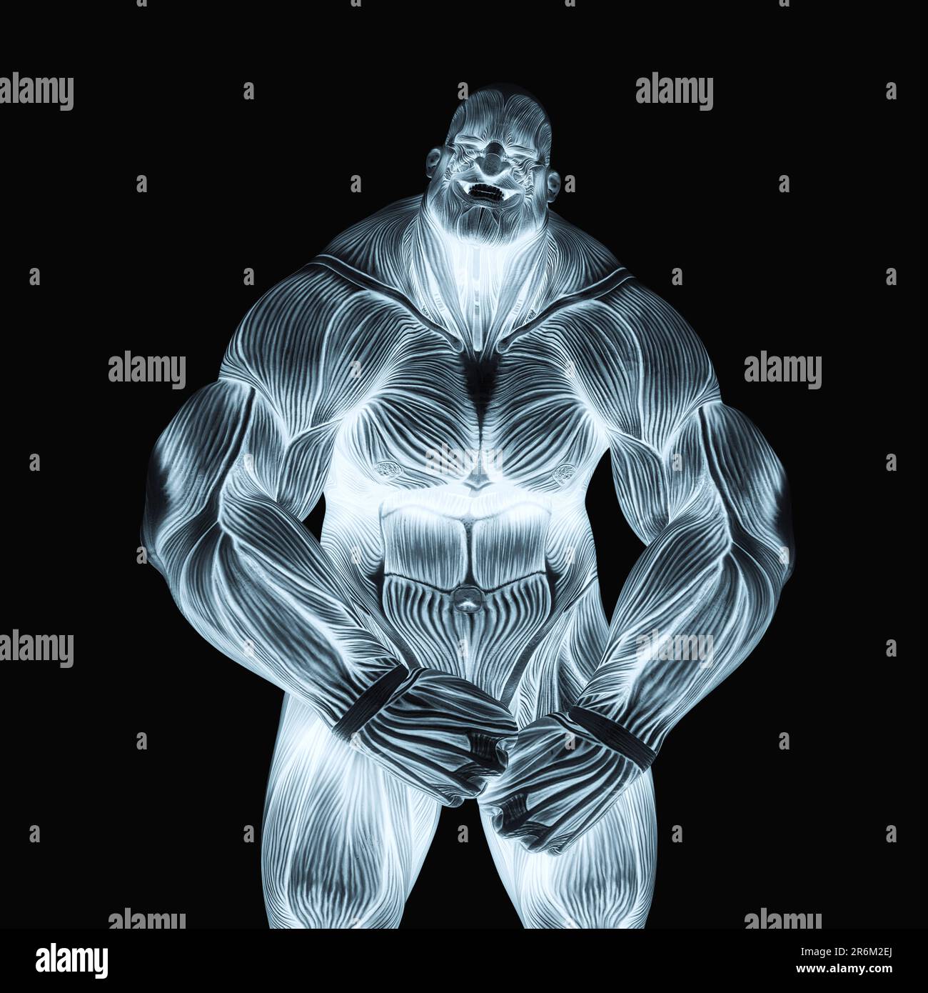 bodybuilder muscle maps is so angry in white background, 3d ...
