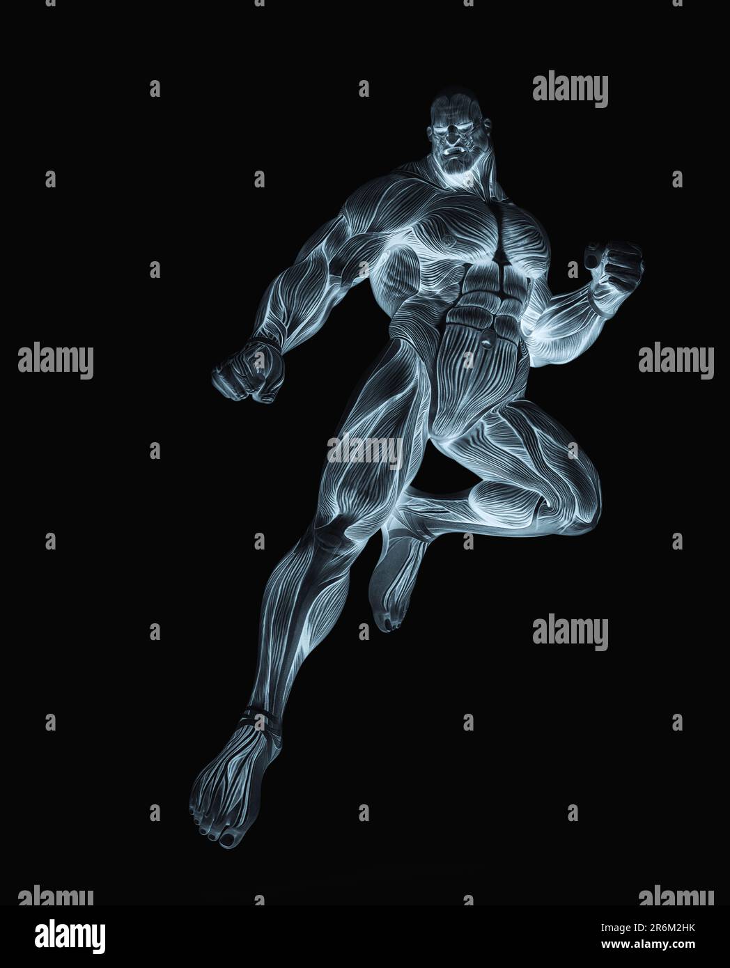 bodybuilder muscle maps is landing in action in white background, 3d ...