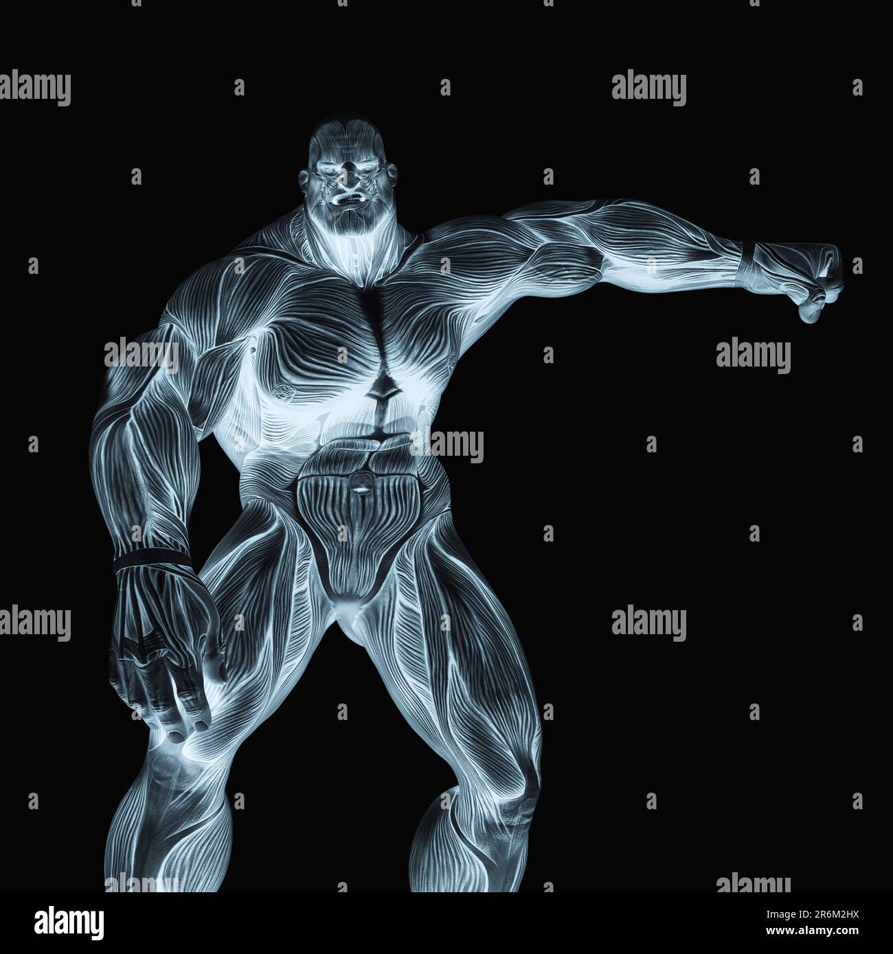 bodybuilder muscle maps is doing a side punch in white background, 3d ...