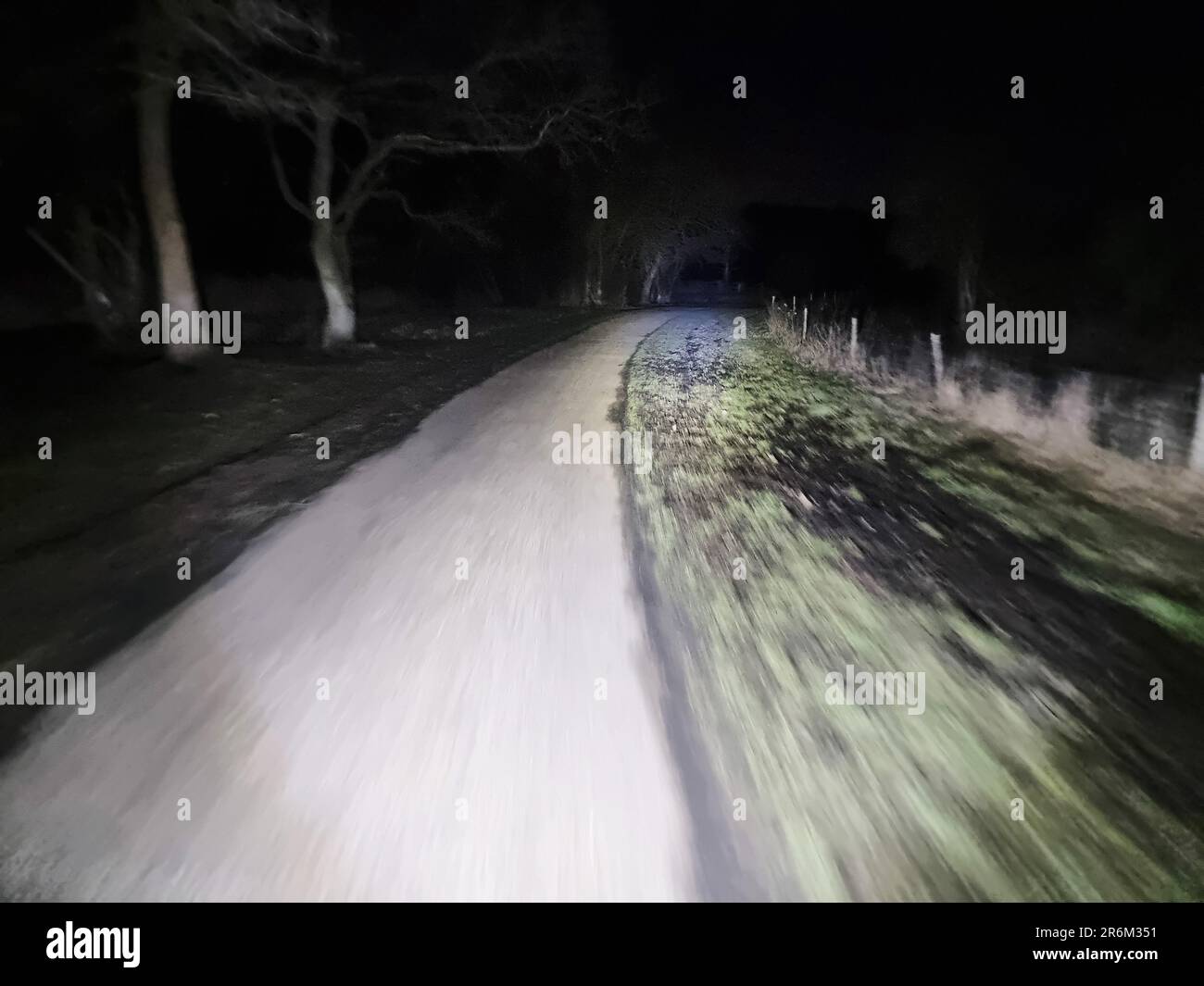 Bicycling at night in Denmark on a bicycle path in nature - motion blur ...