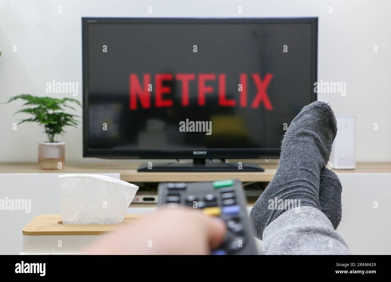 Feet up, hand on remote control, box of tissues ready, Netflix on ...