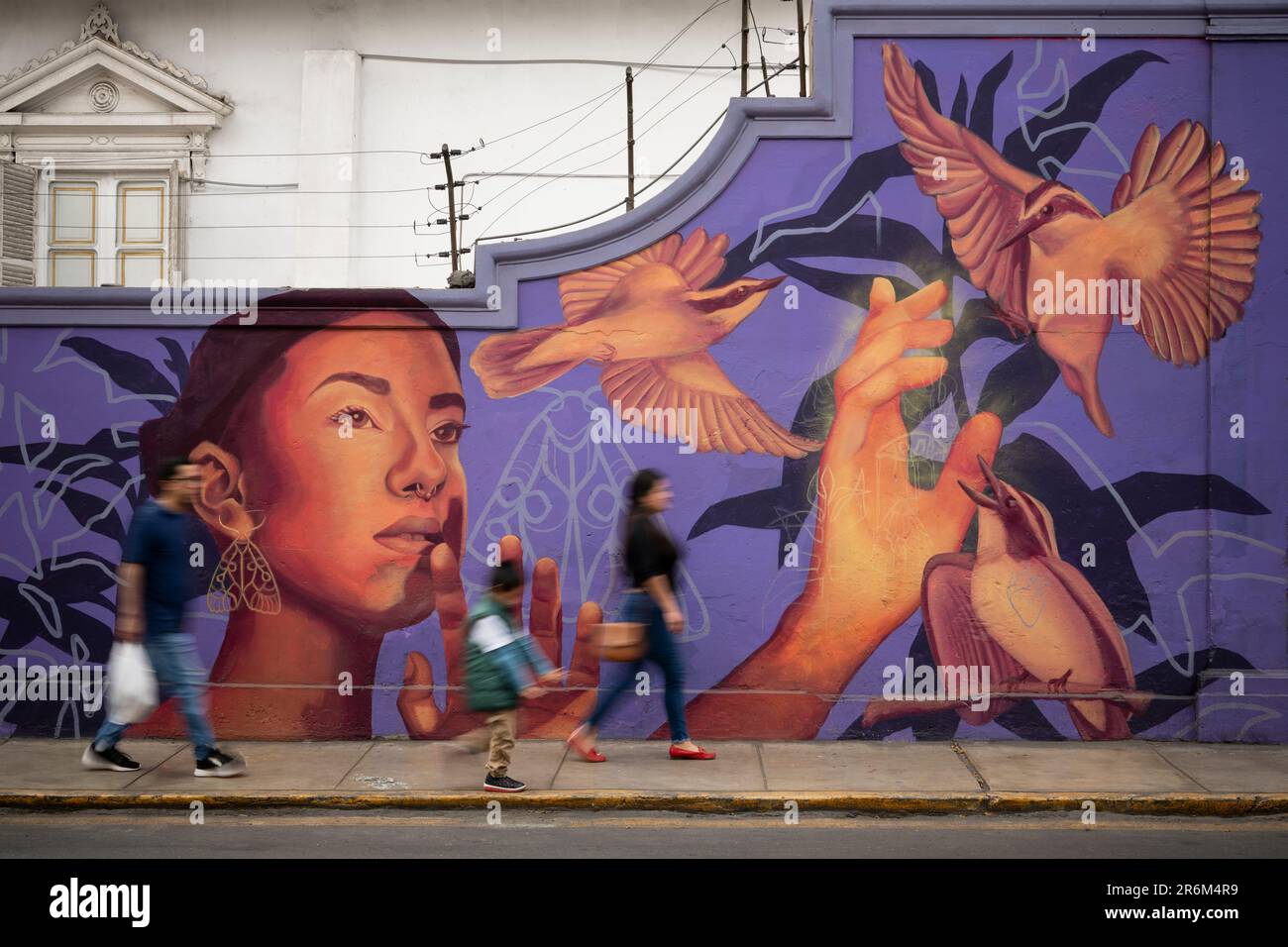 Wall mural bird art hi-res stock photography and images - Alamy