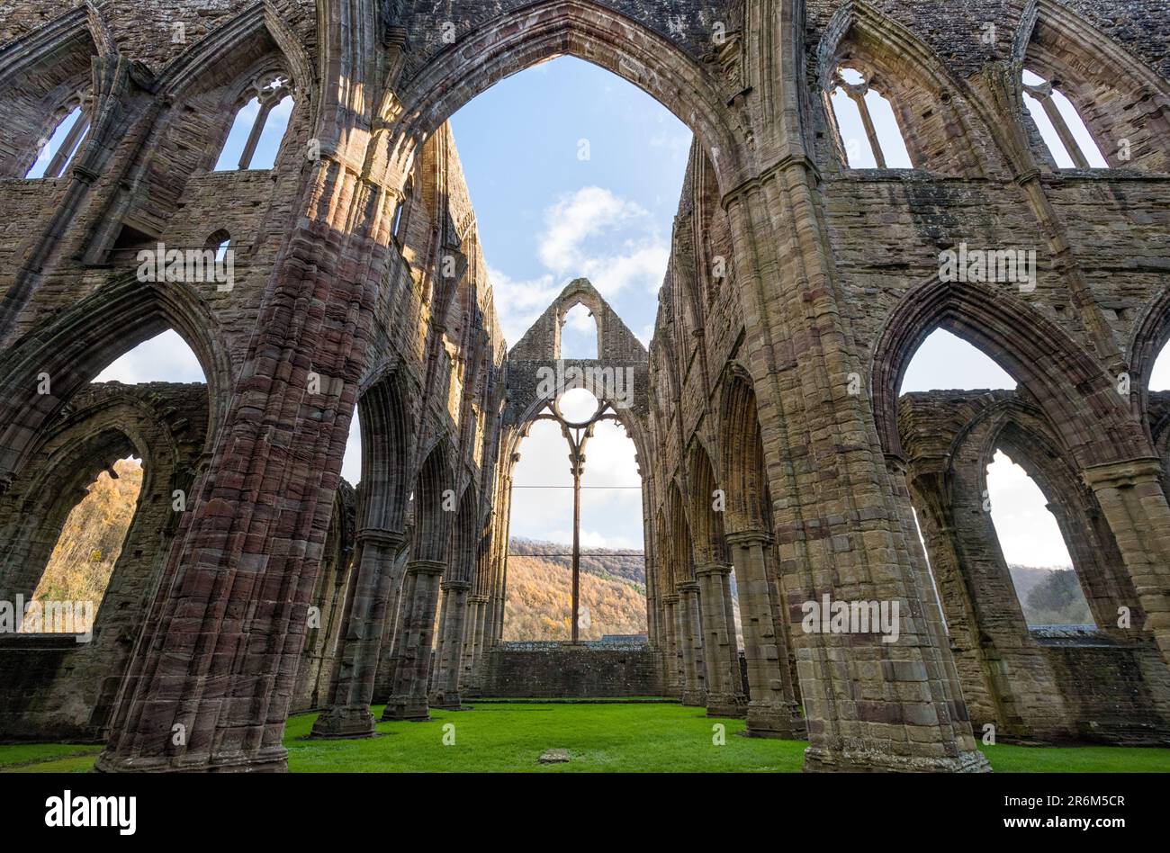 The ruins of Tintern Abbey, founded in 1131 by Cistercian monks ...
