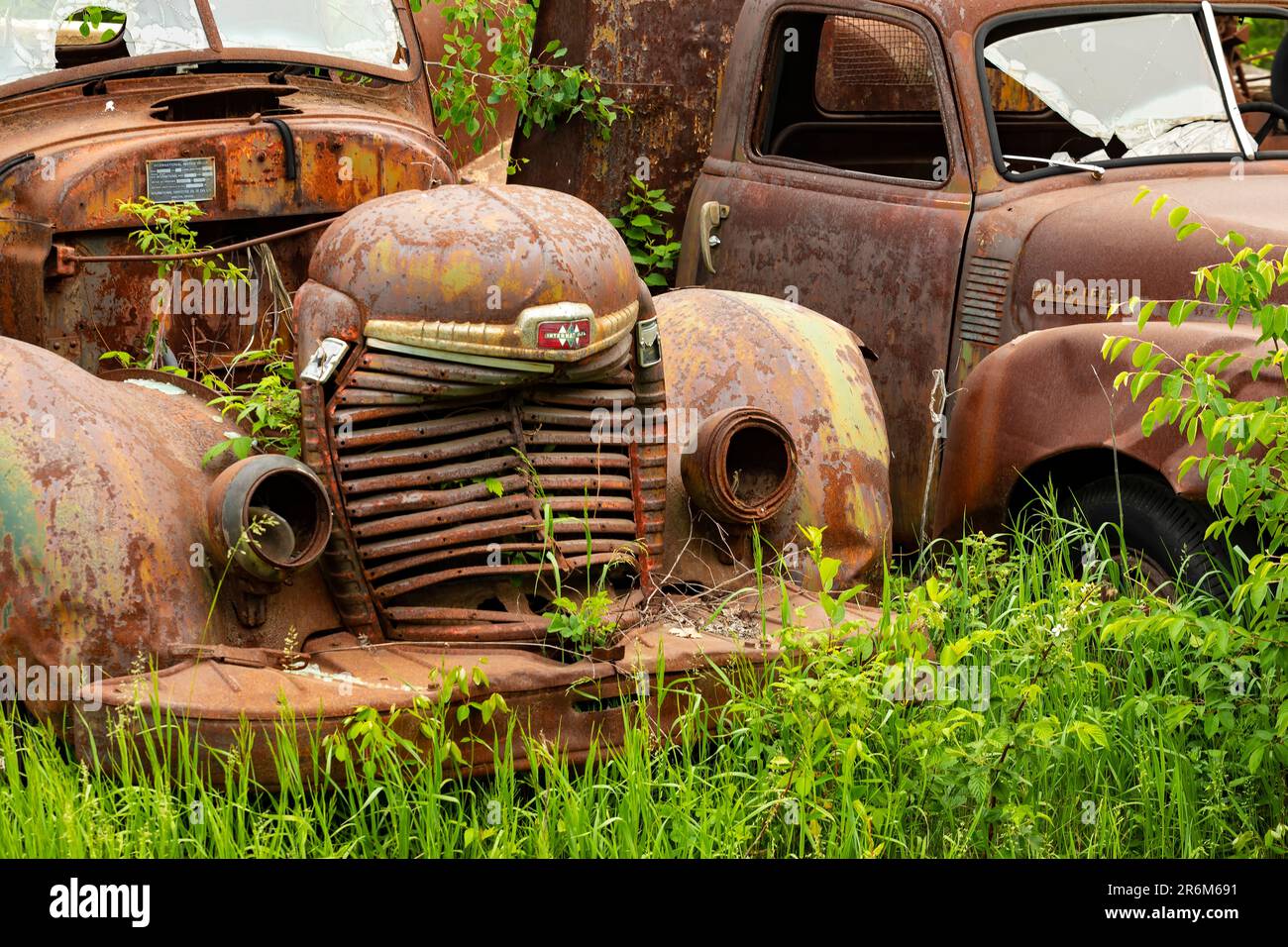Old abandoned rusty pickup trucks in field Stock Photo - Alamy