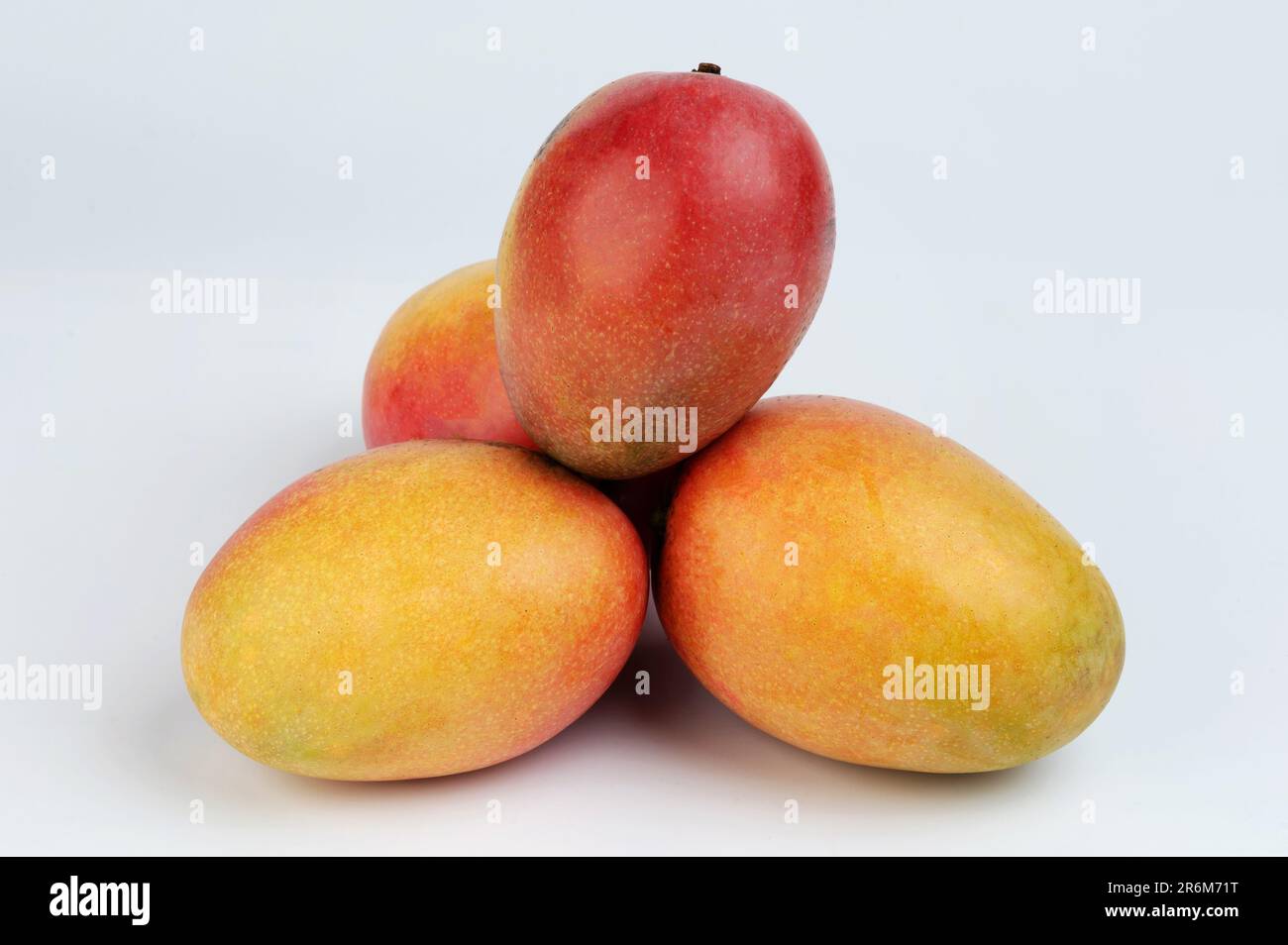 Group of red and yellow pile mangoes isolated close up view Stock Photo ...