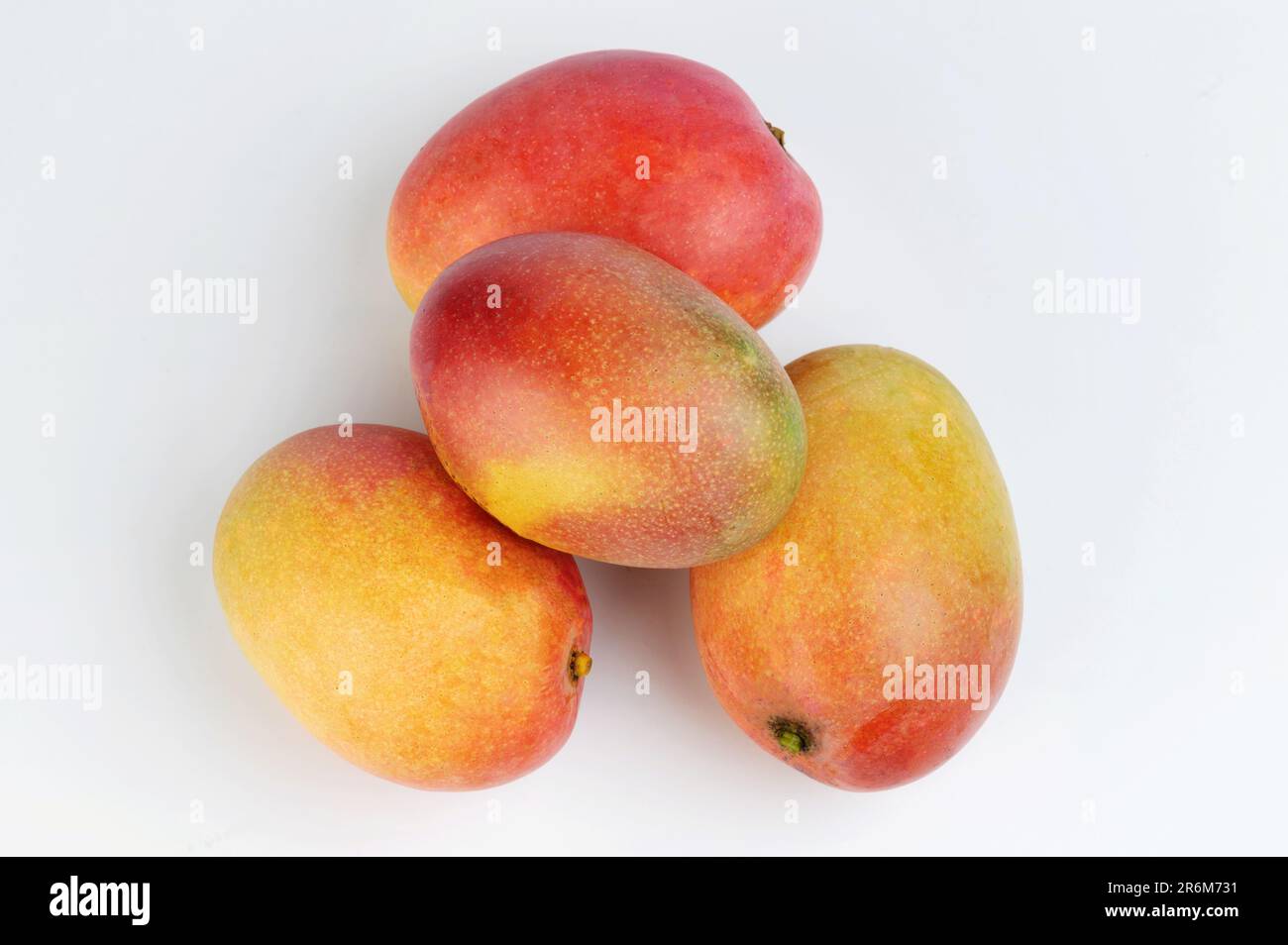 Group of red mango fruits isolated on white studio background Stock ...