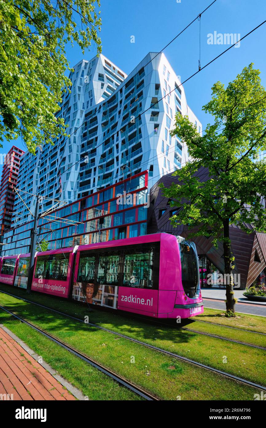 Modern tram in street of Rotterdam, Netherlands Stock Photo - Alamy