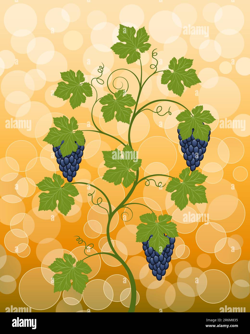 Floral background with a vine. Vector illustration Stock Vector Image ...