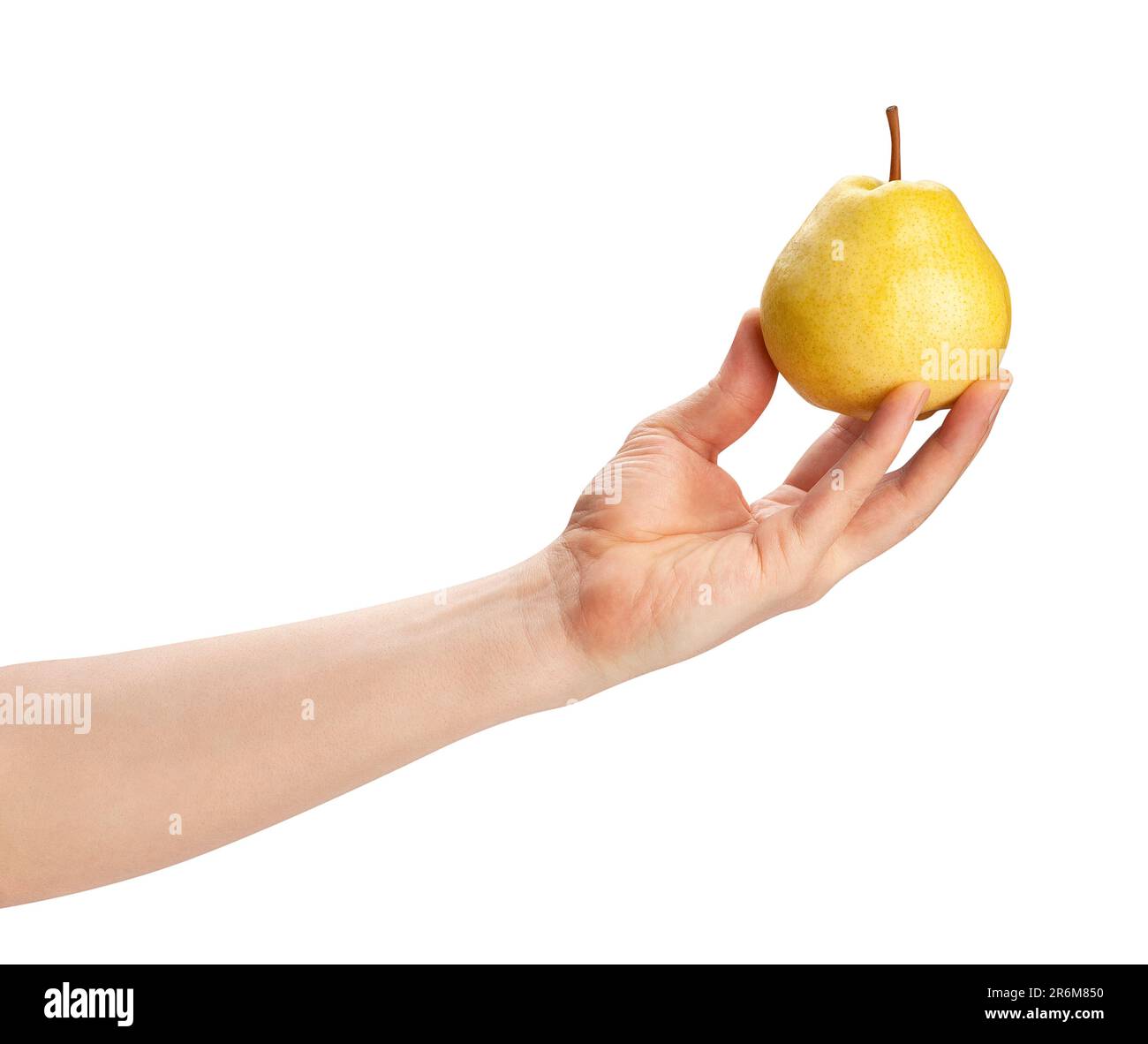 chinese nashi pear in hand path isolated on white Stock Photo - Alamy