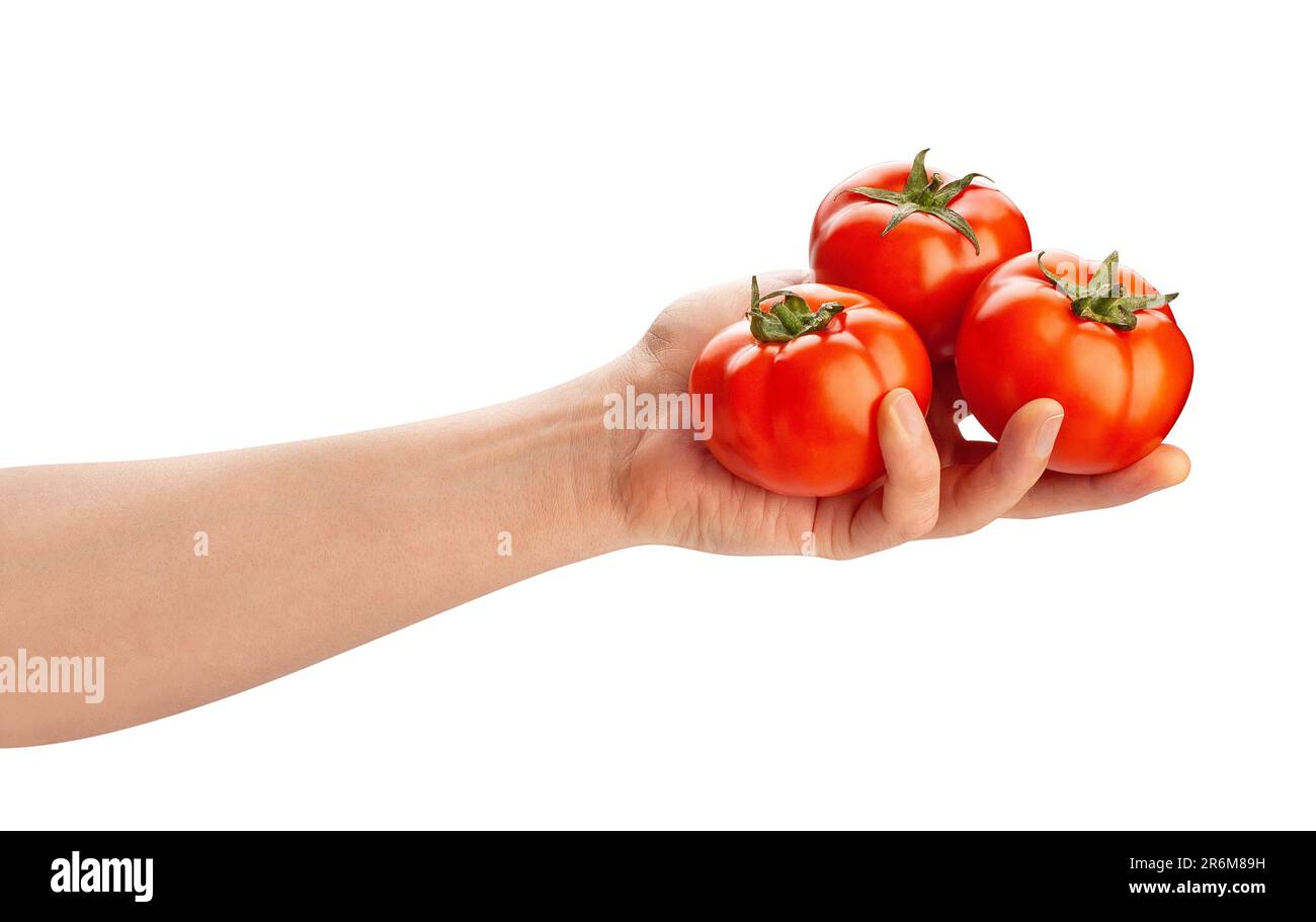 red tomato in hand path isolated on white Stock Photo - Alamy