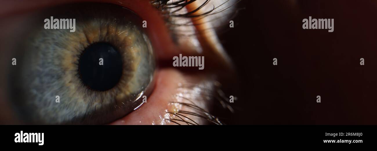 Extreme macro human blue eye hi-res stock photography and images - Alamy