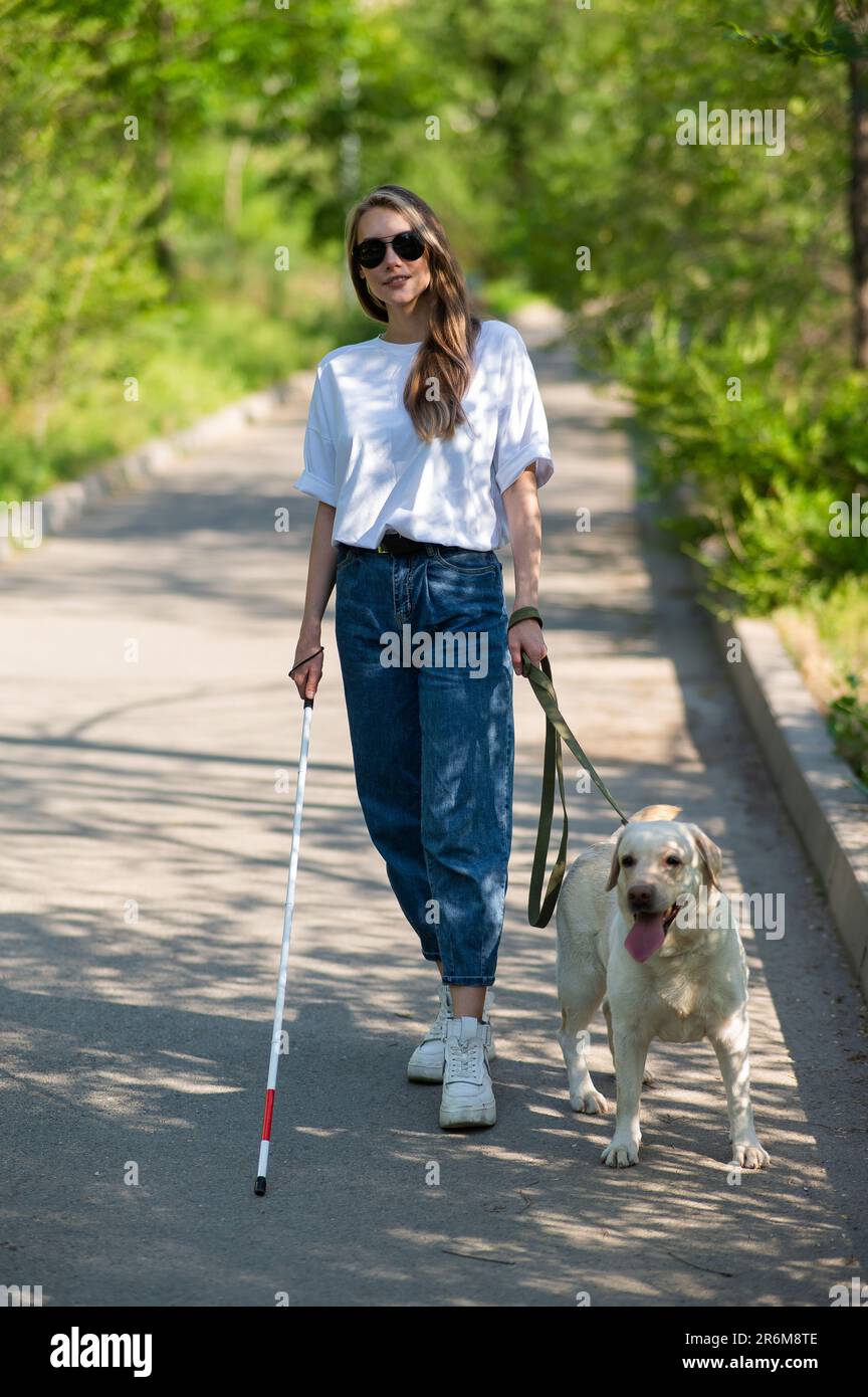 Blind Dog With Girl Guide