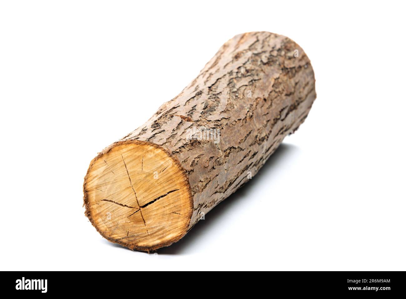 Willow log isolated over white background Stock Photo - Alamy