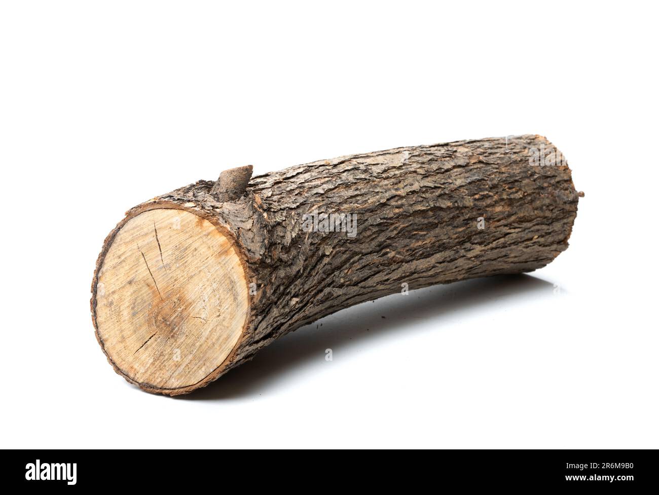 Willow log isolated over white background Stock Photo - Alamy