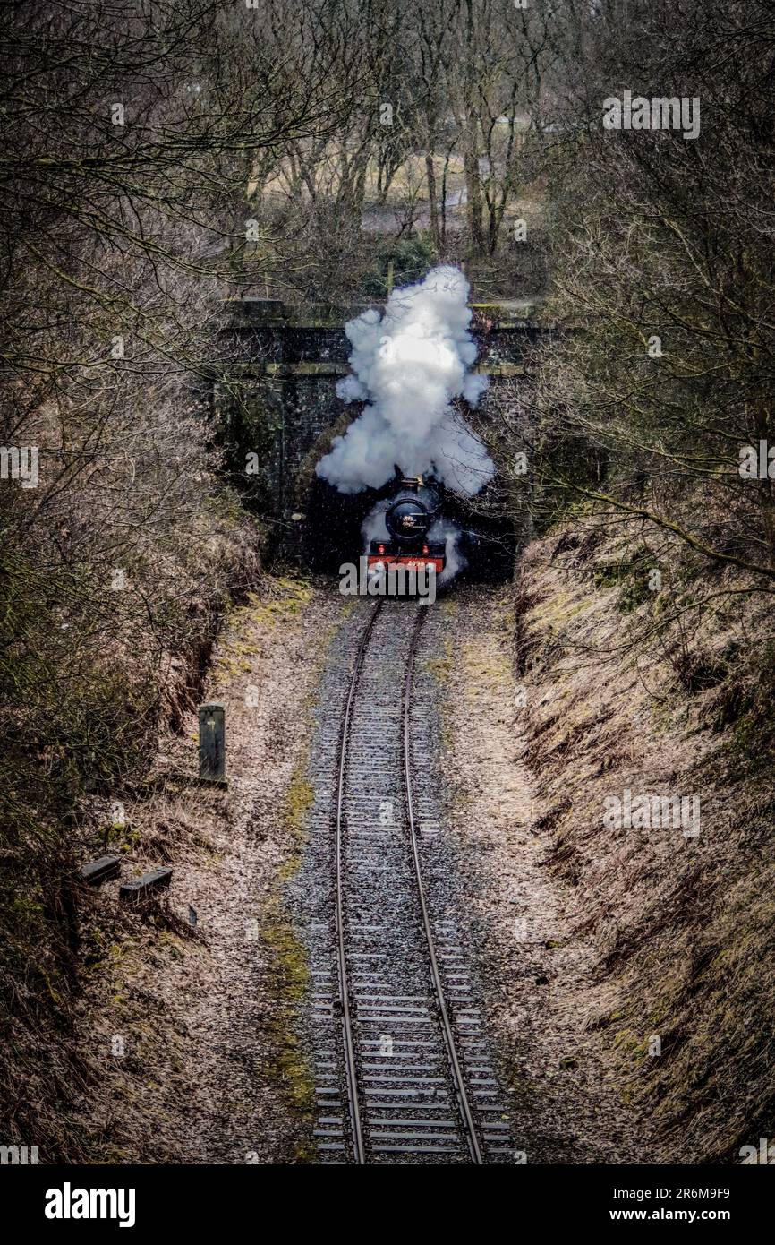 Steam Train emerging from woodland tunnel Stock Photo - Alamy