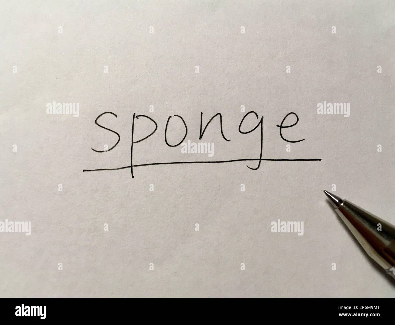 Paper sponge hi-res stock photography and images - Alamy