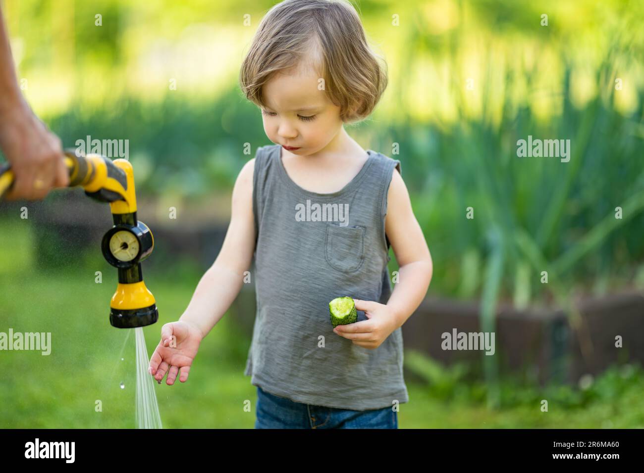 Cute toddler boy helping in the garden on sunny summer day. Child ...