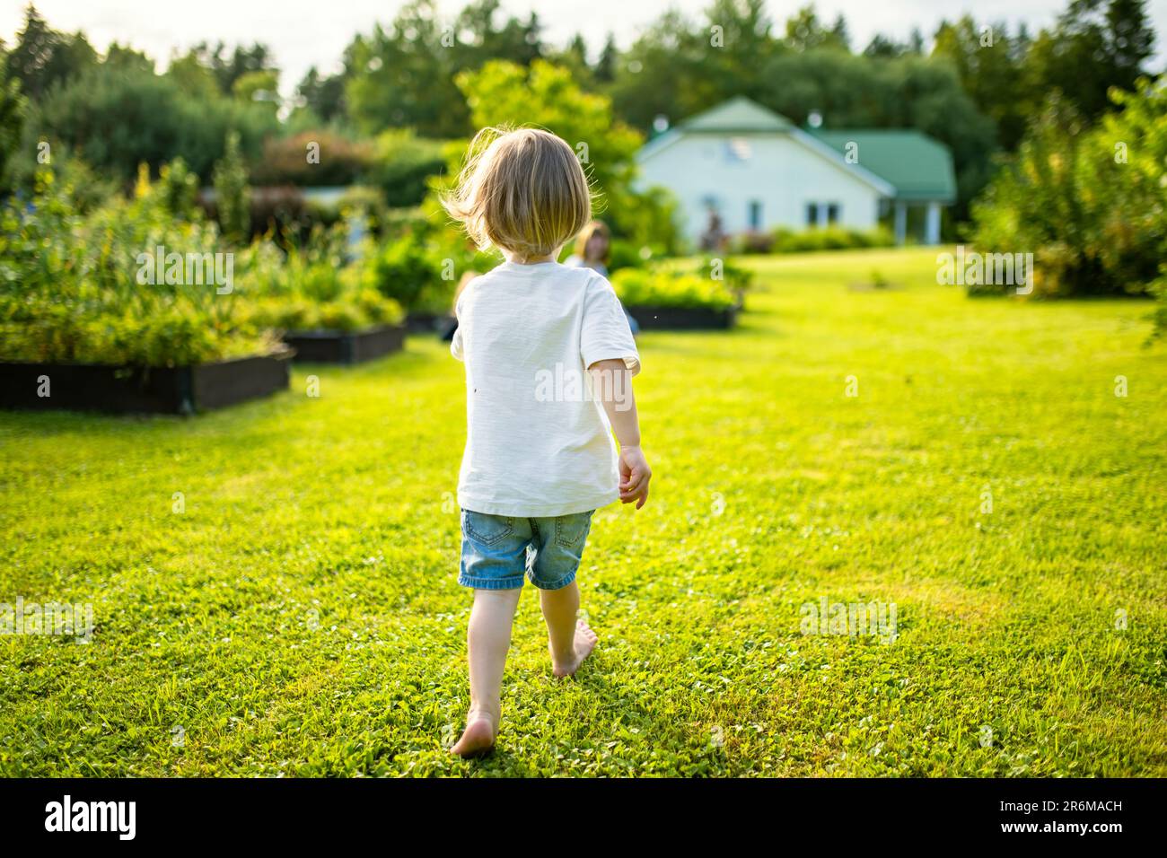 Adorable toddler boy having fun outdoors on sunny summer day. Child ...