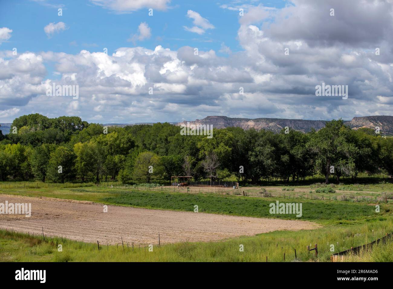 Pictured is unused farmland at Santa Clara Pueblo in northern New ...