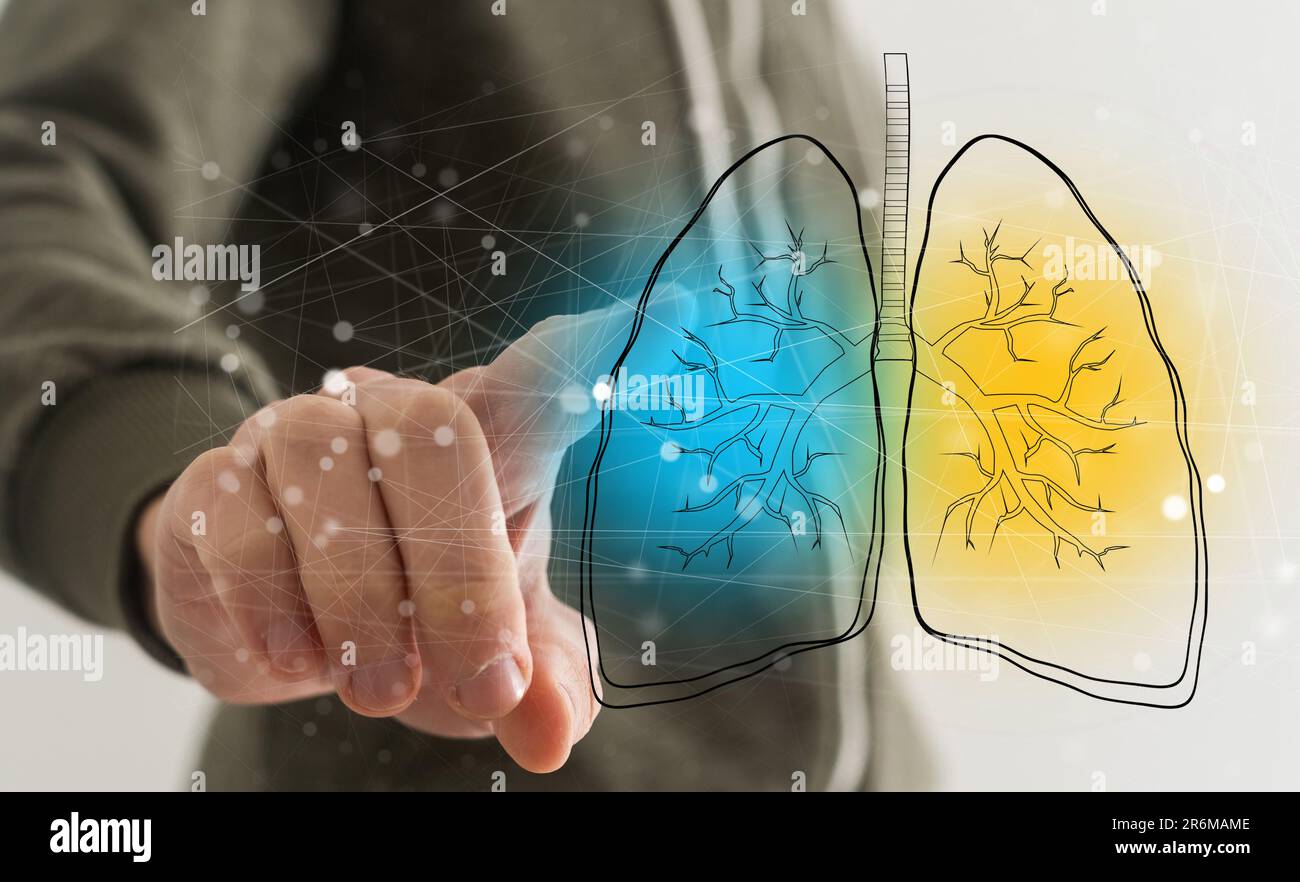 Beautiful human lungs anatomy on science background. 3d illustration ...
